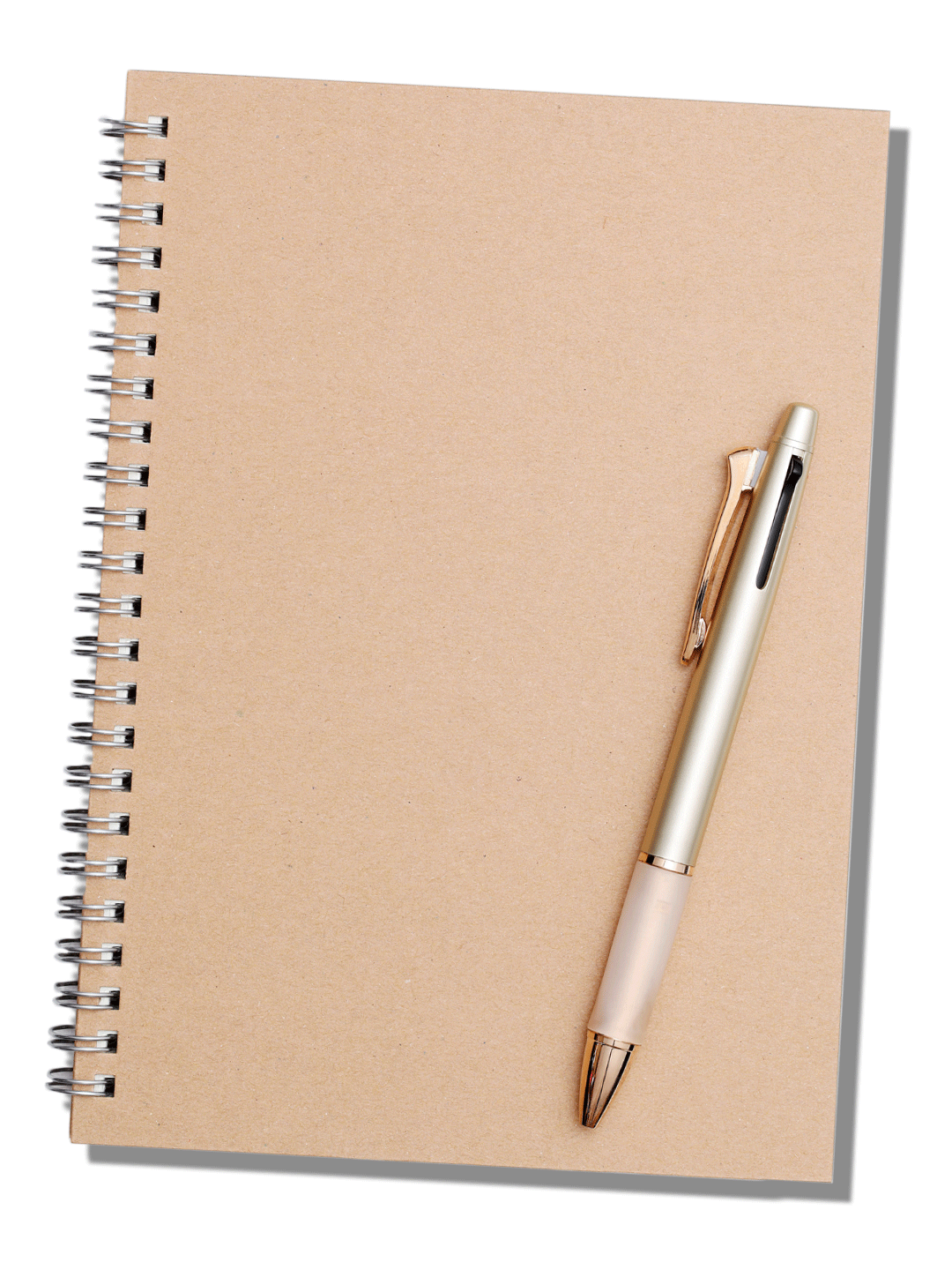 Aviva Domasian | Virtual Assistant